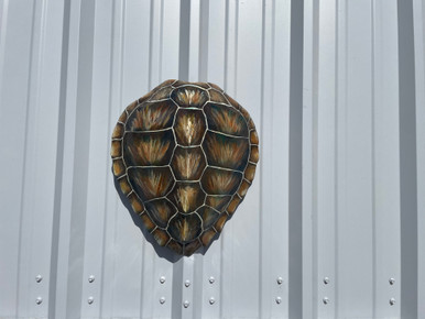 Hand Painted 16 Inch Hawksbill Turtle Shell Half Sided Mount Replica ...