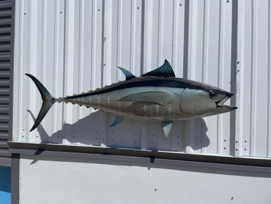 52 Inch Bluefin Tuna Fish Mount Two Sided Wall Mount Fish Replica