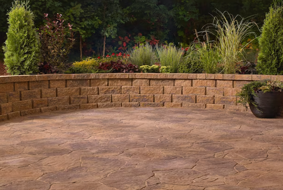 Portland Stone fossil Beige | By the Pallet|