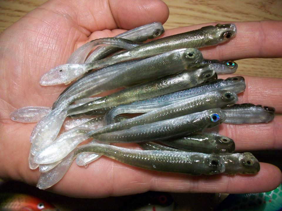 3.5" Drop Shot Minnow Color: Natural Shad 30 count pack (Pre Order 3-4 ...