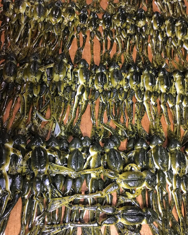 6" Smasher Frog Color: Green Pumpkn Bull Frog 12 count pack (Pre Order ...
