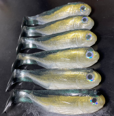 4" Little Nugget Color: Blueback Herring kn 5 Count Pack (Pre Order 2-3 ...