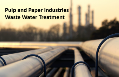 Pulp and Paper Industries Waste Water Treatment - Cannon Water Technology