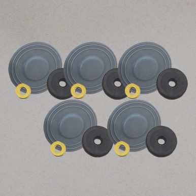 Pulsafeeder 5PKDIA2 Diaphragm Kits, Pack of 5 - Cannon Water Technology