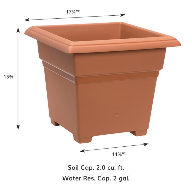 Planter Box for Vegetables | Box Gardening | EarthBox