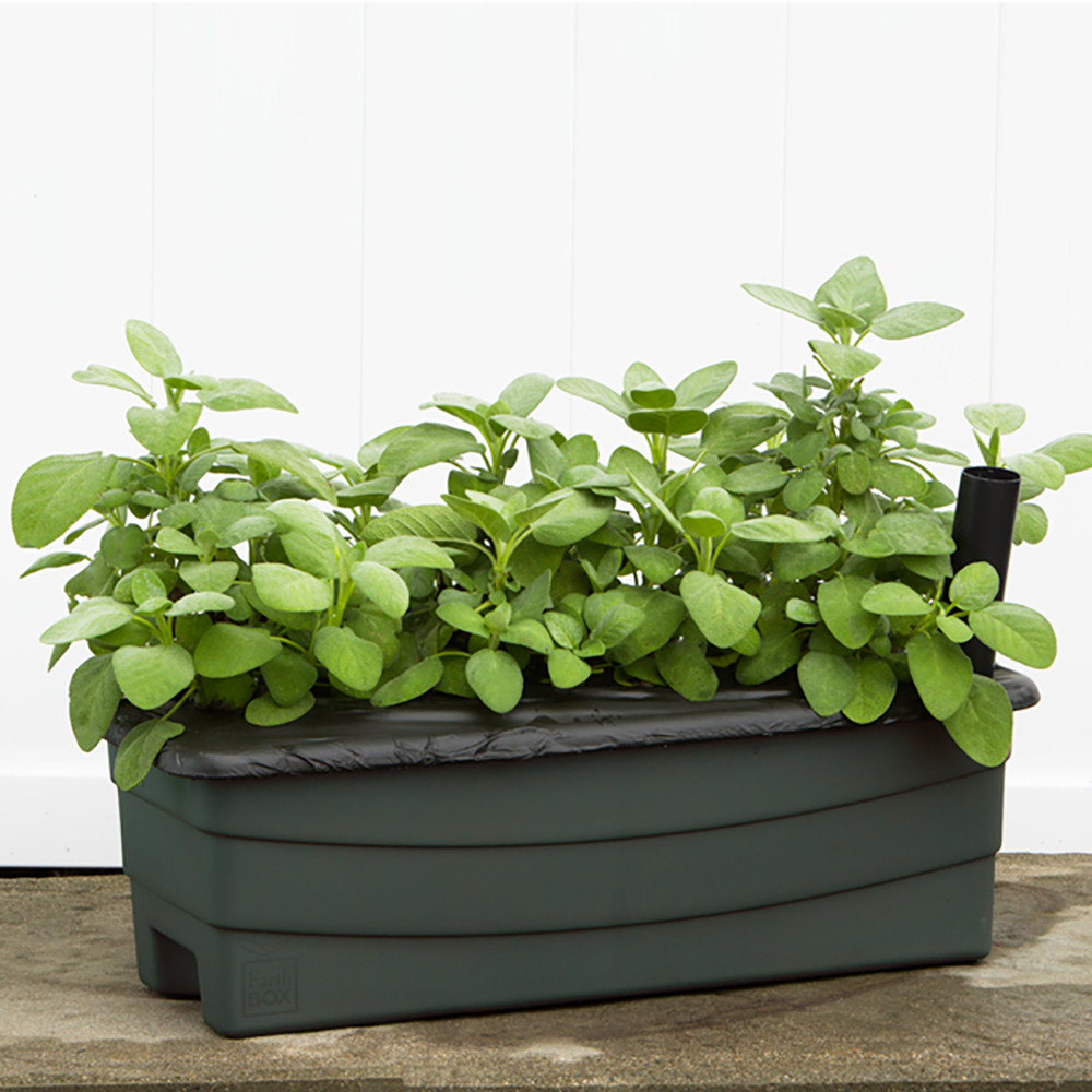 Gardening Boxes | Container Gardening | EarthBox