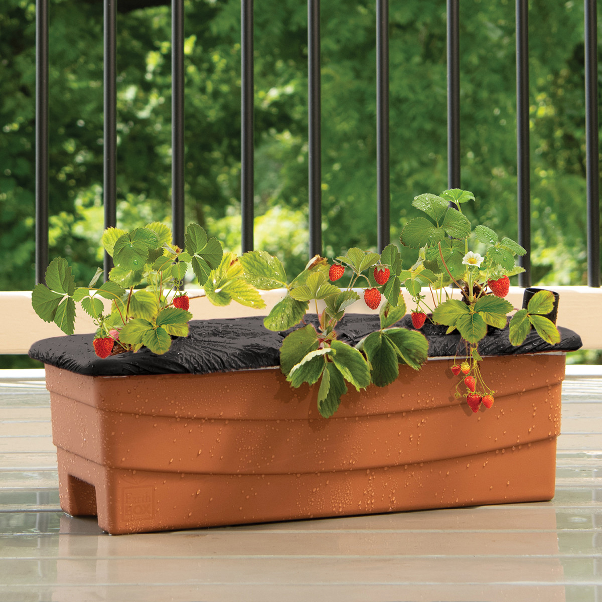 Gardening Boxes | Container Gardening | EarthBox