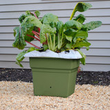 Planter Box for Vegetables | Box Gardening | EarthBox