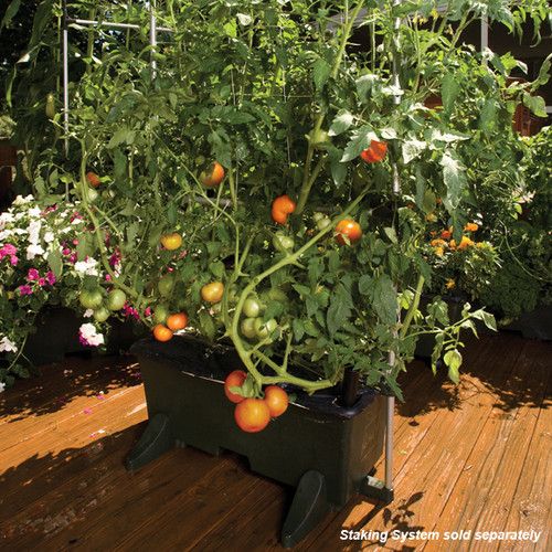 Planter Box | Container Gardening | EarthBox