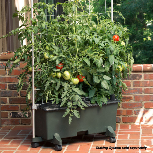 Boxes for Gardening | EarthBox Original | EarthBox