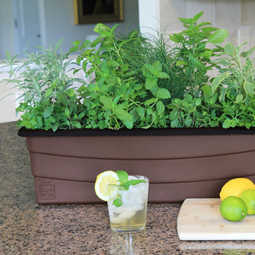 Gardening Boxes | Container Gardening | EarthBox
