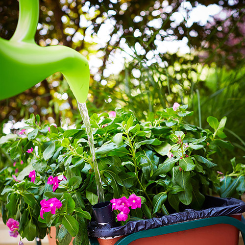 Metal Garden Stand for EarthBox | Elevated Mobile Stand