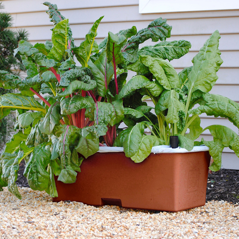 Planter Box | Container Gardening | EarthBox
