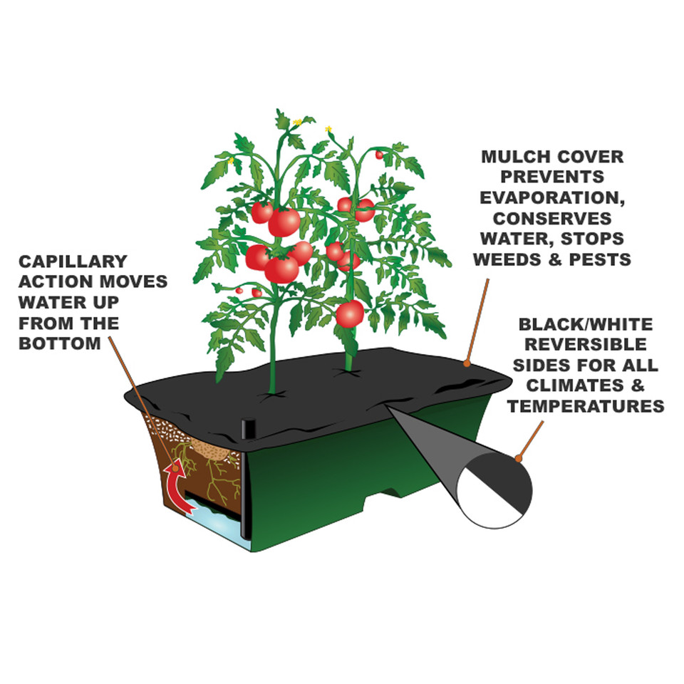 EarthBox Mulch Cover | Prevent Weeds & Conserve Water