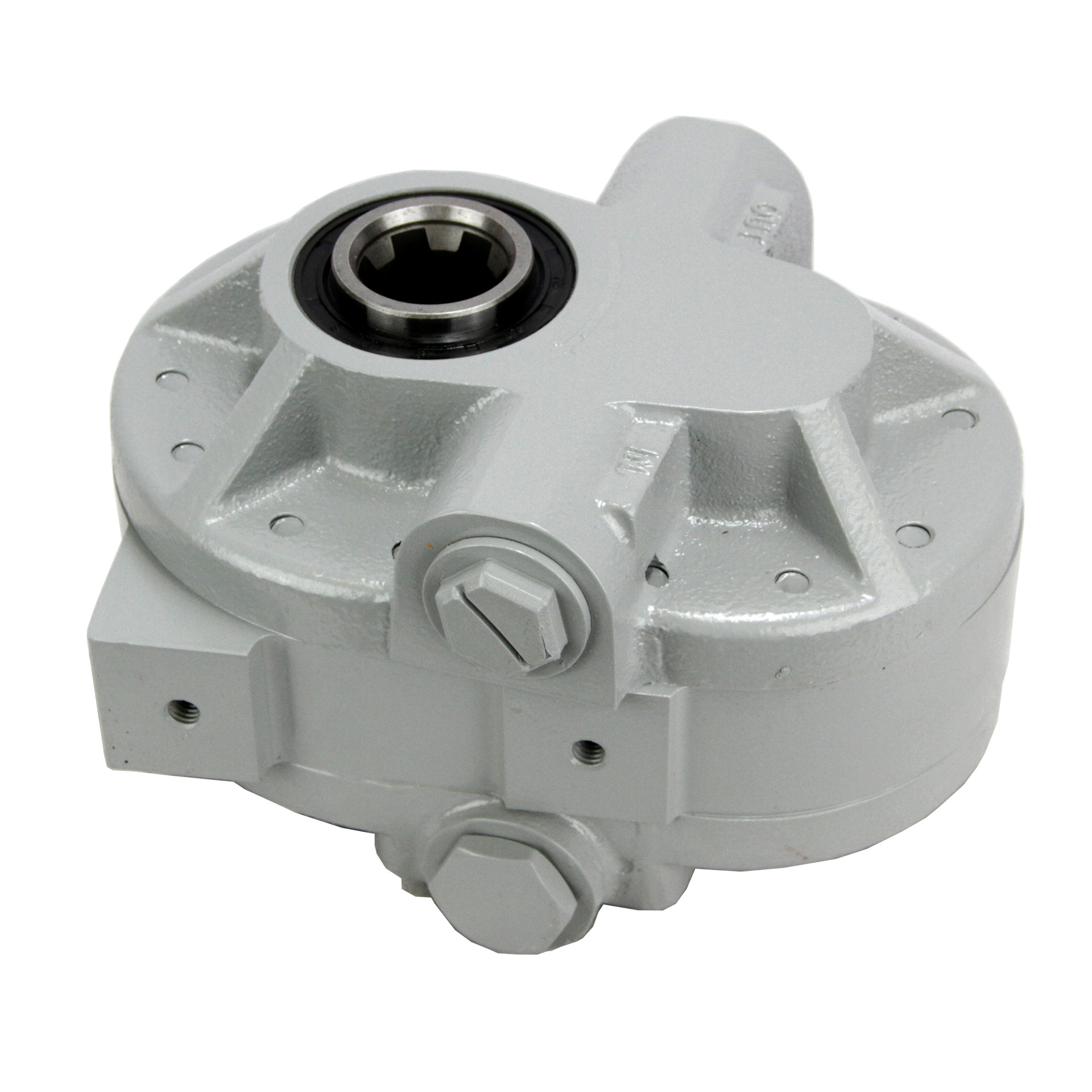 Pumps - Chief Pumps - Bailey International LLC