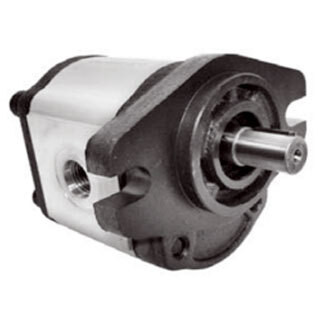 Pumps - Chief Pumps - Bailey International LLC