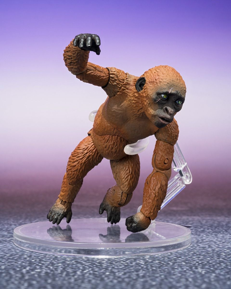 Godzilla x Kong The New Empire: S.H. Monster Arts - Suko & Mothra (2024 ...