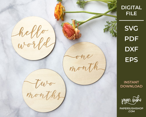 Script Monthly Markers Baby Photo Props