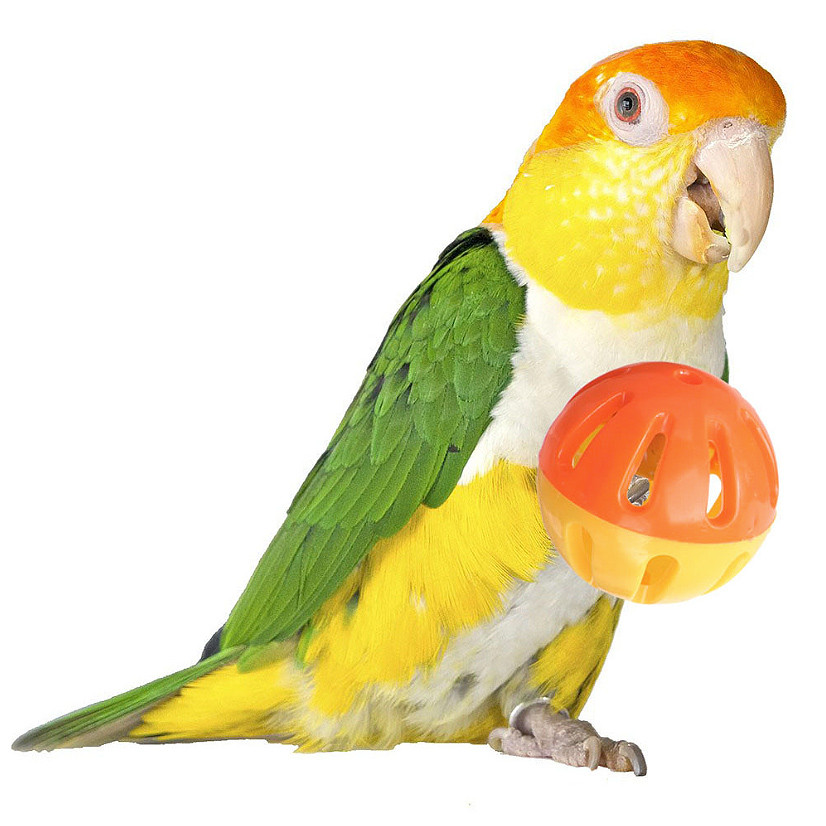 Bird Foot Toys - Colorful Birdie Ball (pack of 4) - 2"