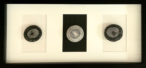 Stephanie Crossman: Essence of Triple Sea Urchins - Hopkins Wharf Gallery