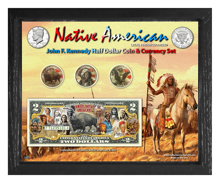 Native American Bison Colorized Coin & Currency Set in 8" x 10" Frame ...