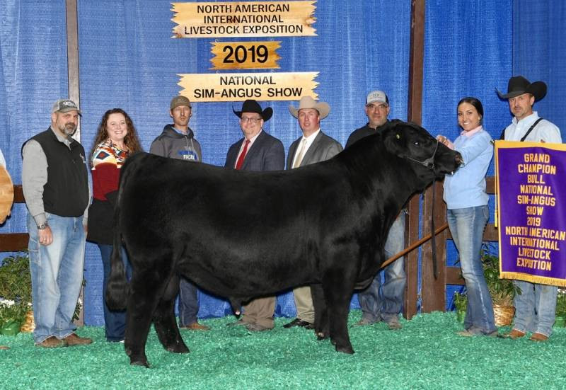 RECKONING 711F • Cattle Visions • Premier Multi-Breed Online Semen ...