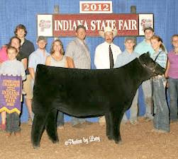 Smilin' Bob • Cattle Visions • Premier Multi-Breed Online Semen Distributor