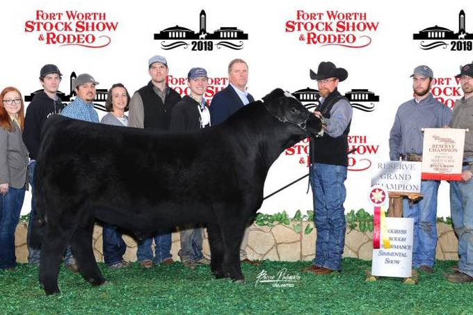 B C R PERFECT VISION • Cattle Visions • Premier Multi-Breed Online ...