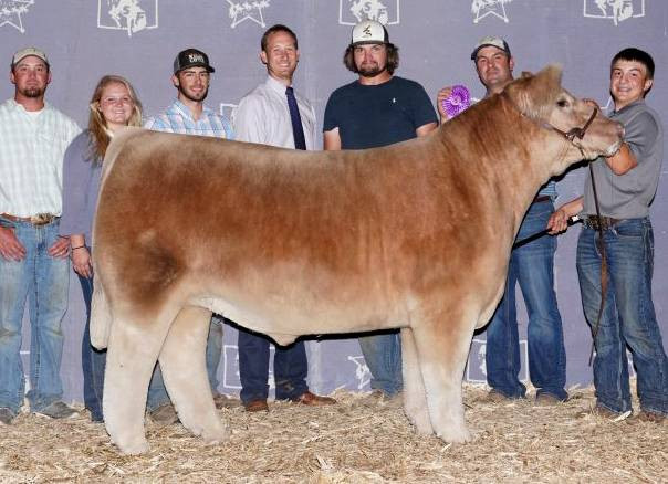 Business Done Right Cattle Visions Premier Multi Breed Online Semen