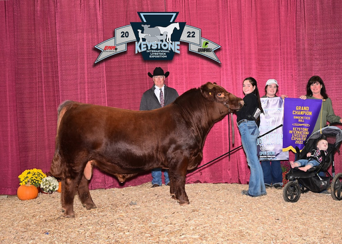 KJSS Mufasa J1(Female Sexed) - CATTLE VISIONS