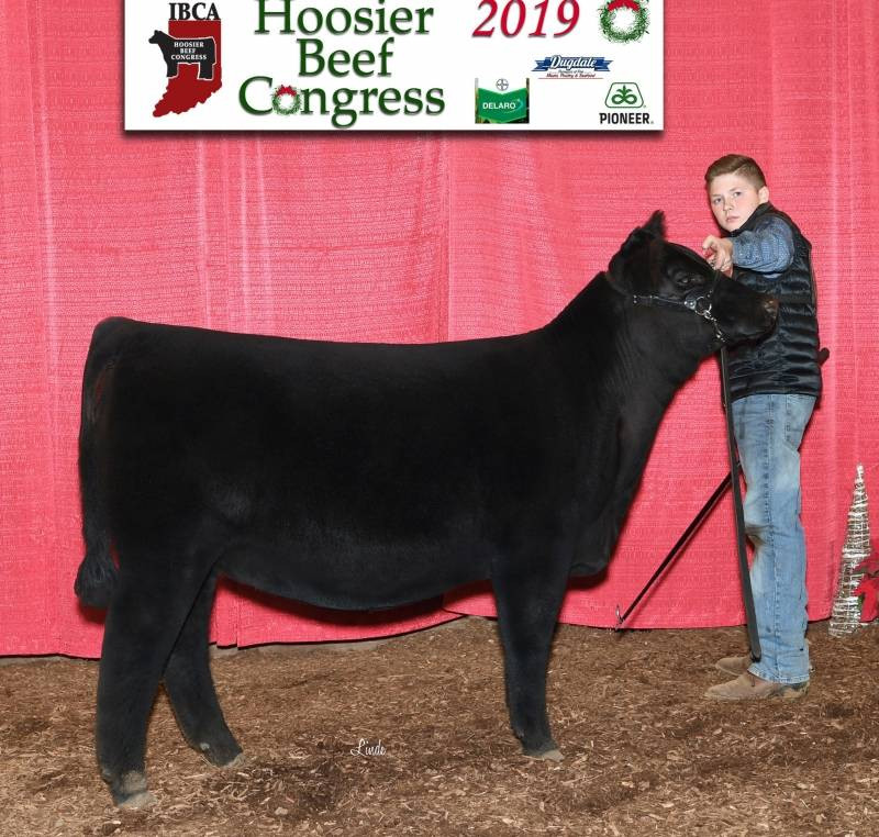 LMF Vision 416 • Cattle Visions • Premier Multi-Breed Online Semen ...