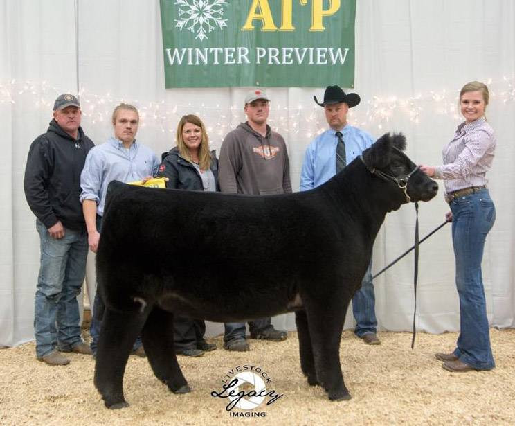 Getcha Some • Cattle Visions • Premier Multi-Breed Online Semen Distributor