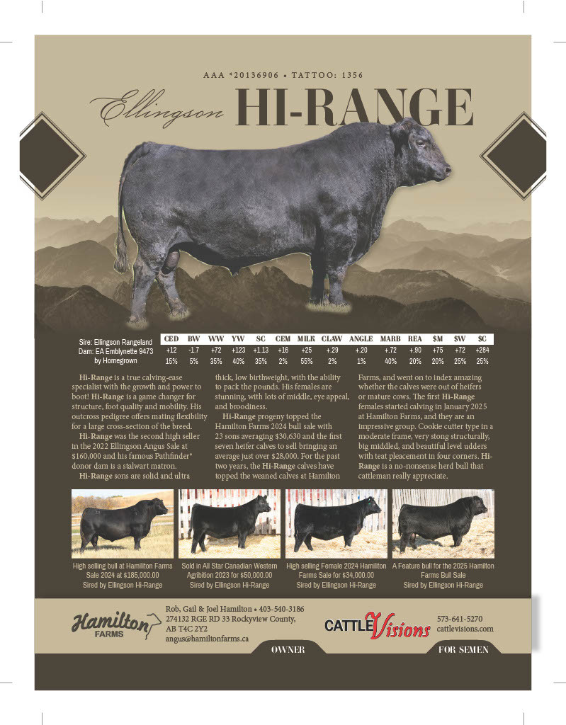 Ellingson Hi-Range - CATTLE VISIONS