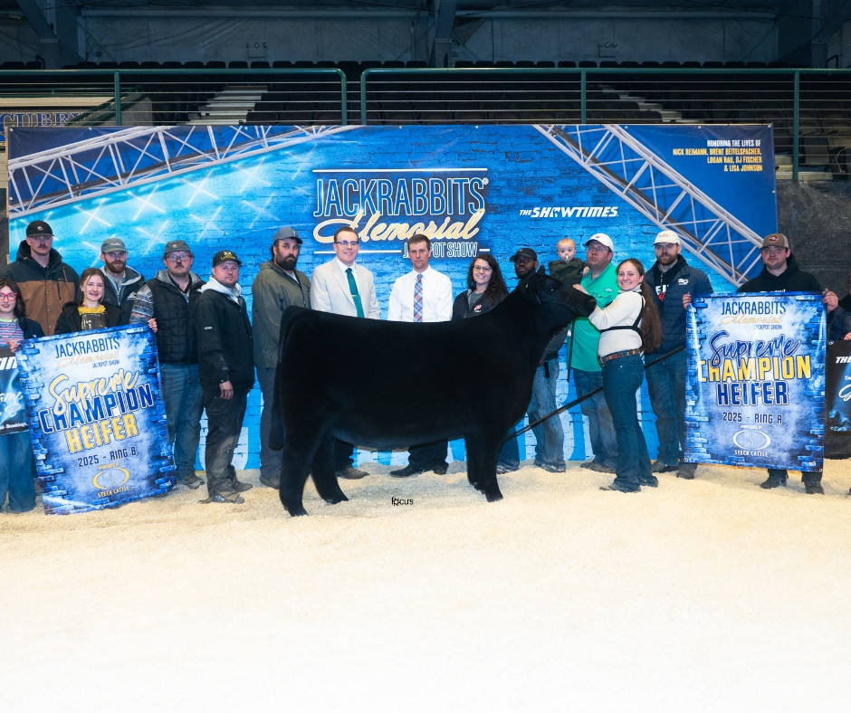 OAKP Holyfield M517 - CATTLE VISIONS