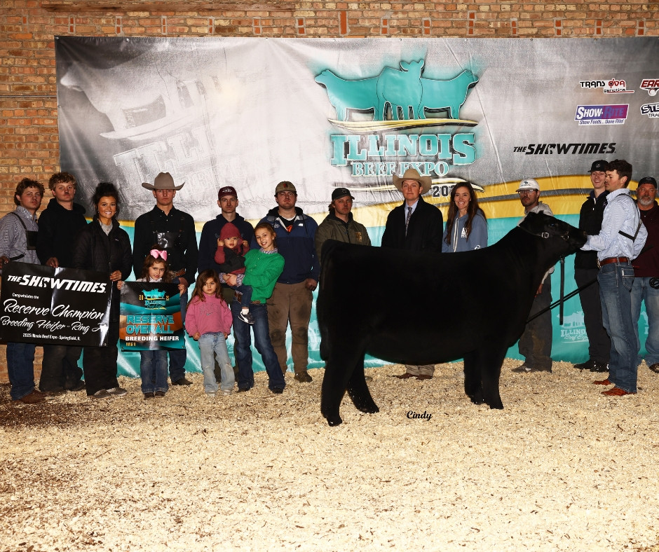 OAKP Holyfield M517 - CATTLE VISIONS