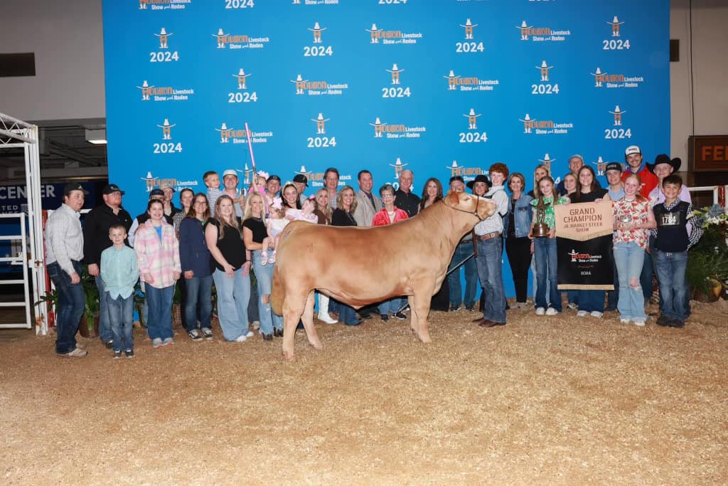 Lovin Size - CATTLE VISIONS