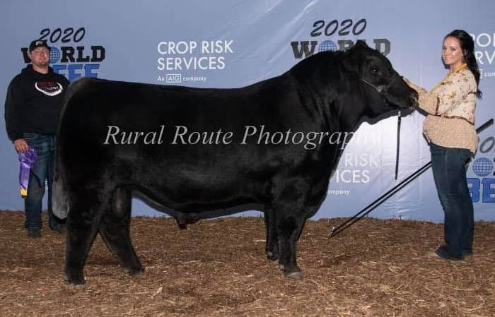 MCF Permission Granted 8103 - CATTLE VISIONS