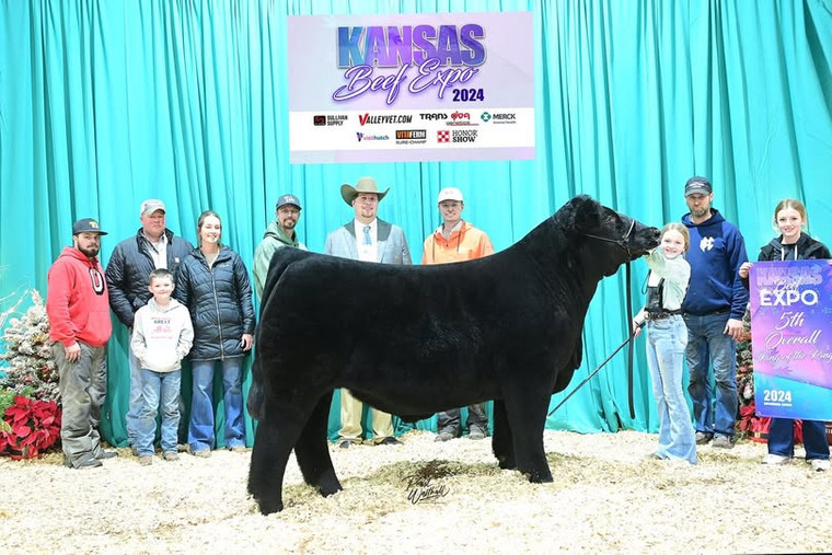 Chosen 1 • Cattle Visions • Premier Multi-Breed Online Semen Distributor