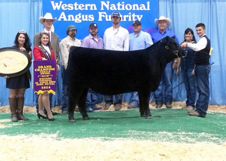 Conley Express 7211 • Cattle Visions • Premier Multi-Breed Online Semen ...