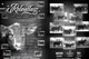 W/C RELENTLESS 32C • Cattle Visions • Premier Multi-Breed Online Semen ...