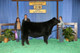 W/C RELENTLESS 32C • Cattle Visions • Premier Multi-Breed Online Semen ...
