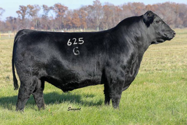 Sitz Profile 625G • Cattle Visions • Premier Multi-Breed Online Semen ...