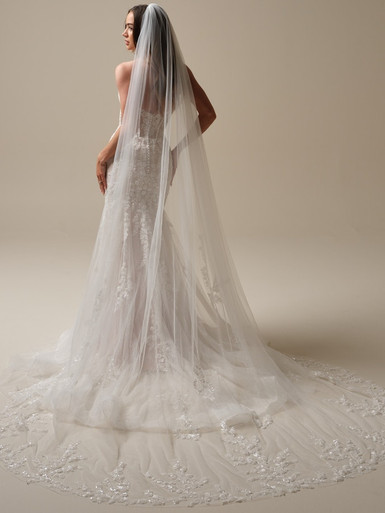 Benjie Veil