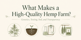 What Makes a High-Quality Hemp Farm? Genetics, Testing, Soil, and ...