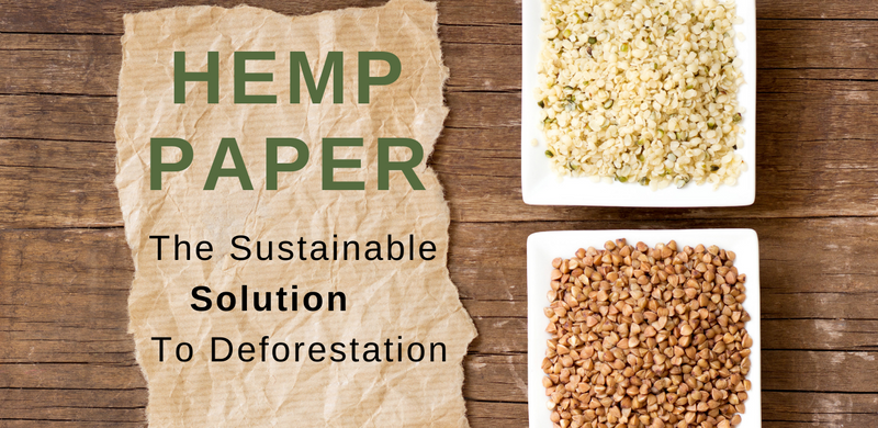 Hemp Paper vs Traditional Paper: A Sustainable Solution to ...