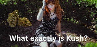 What Does “Kush” Mean? Origins, Indica Myth, and Why It’s in So Many ...