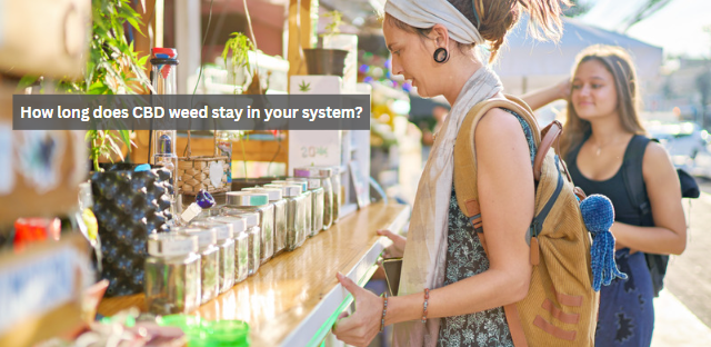 From CBD Gummies to CBD Weed: How Long Does it Stay in Your System ...