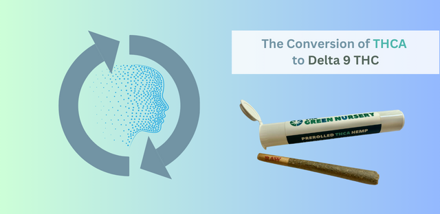 Demystifying the Process: How THCA Transforms into THC - Green Nursery