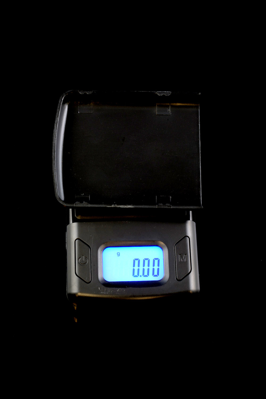DigiWeigh Digital Scale (1000g x 0.1g) - DS146