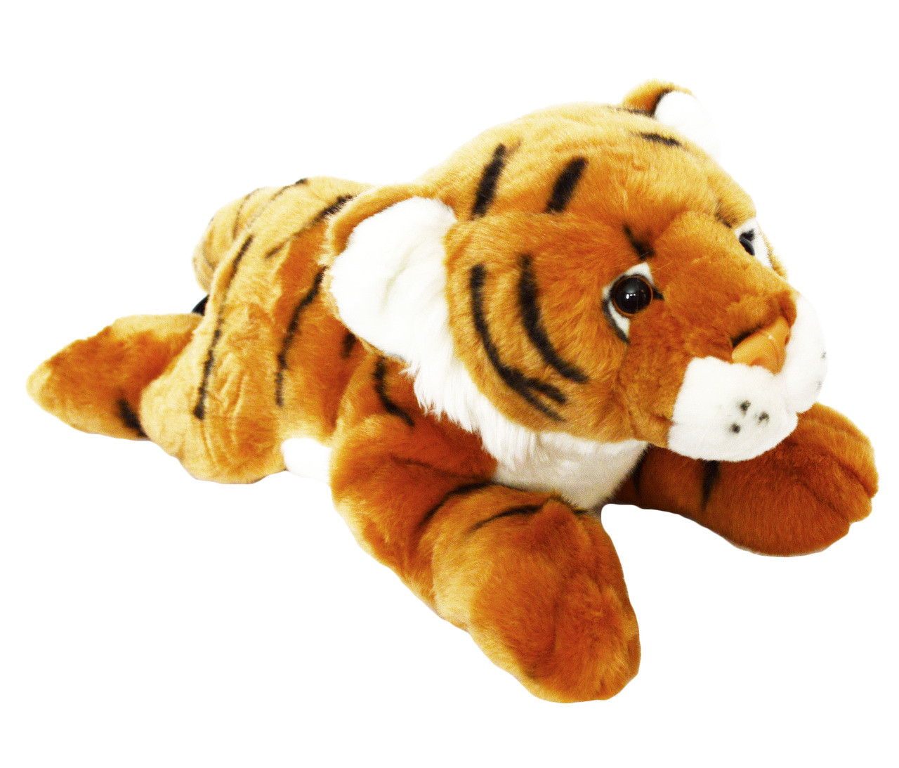 Jungle and Zoo